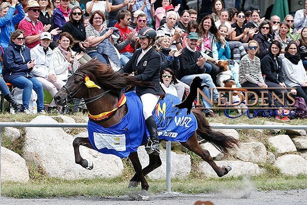 DIM: Gold in F1 und Kombi plus WM-Ticket: Gestüt Schloßberg