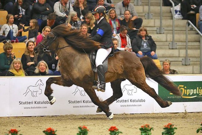 Lisa, Kjalar und Bassi strahlen beim WorldTölt: Gestüt Schloßberg